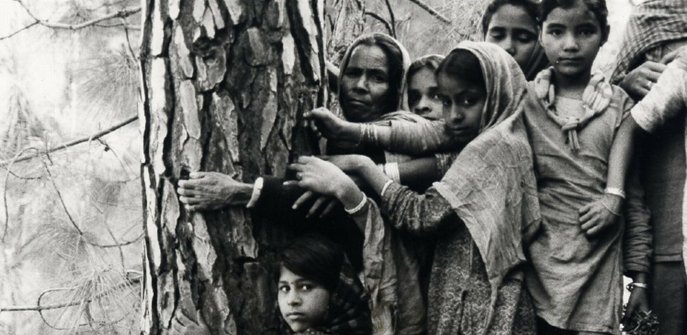 Fifty Years of Chipko Movement Clear Pathways For Other Struggles to ...